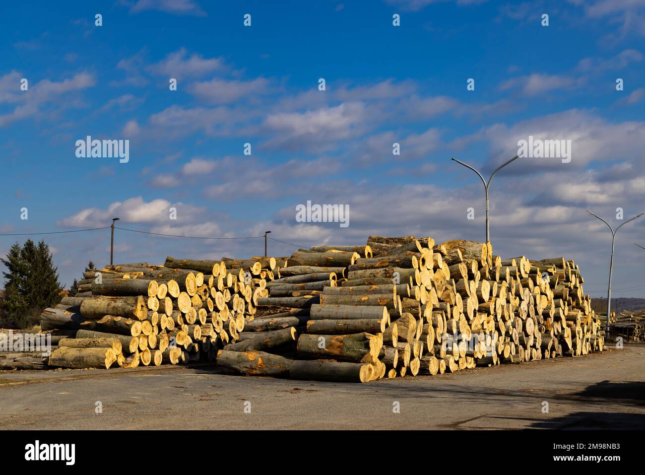 wooden logs on the open air Stock Photo - Alamy