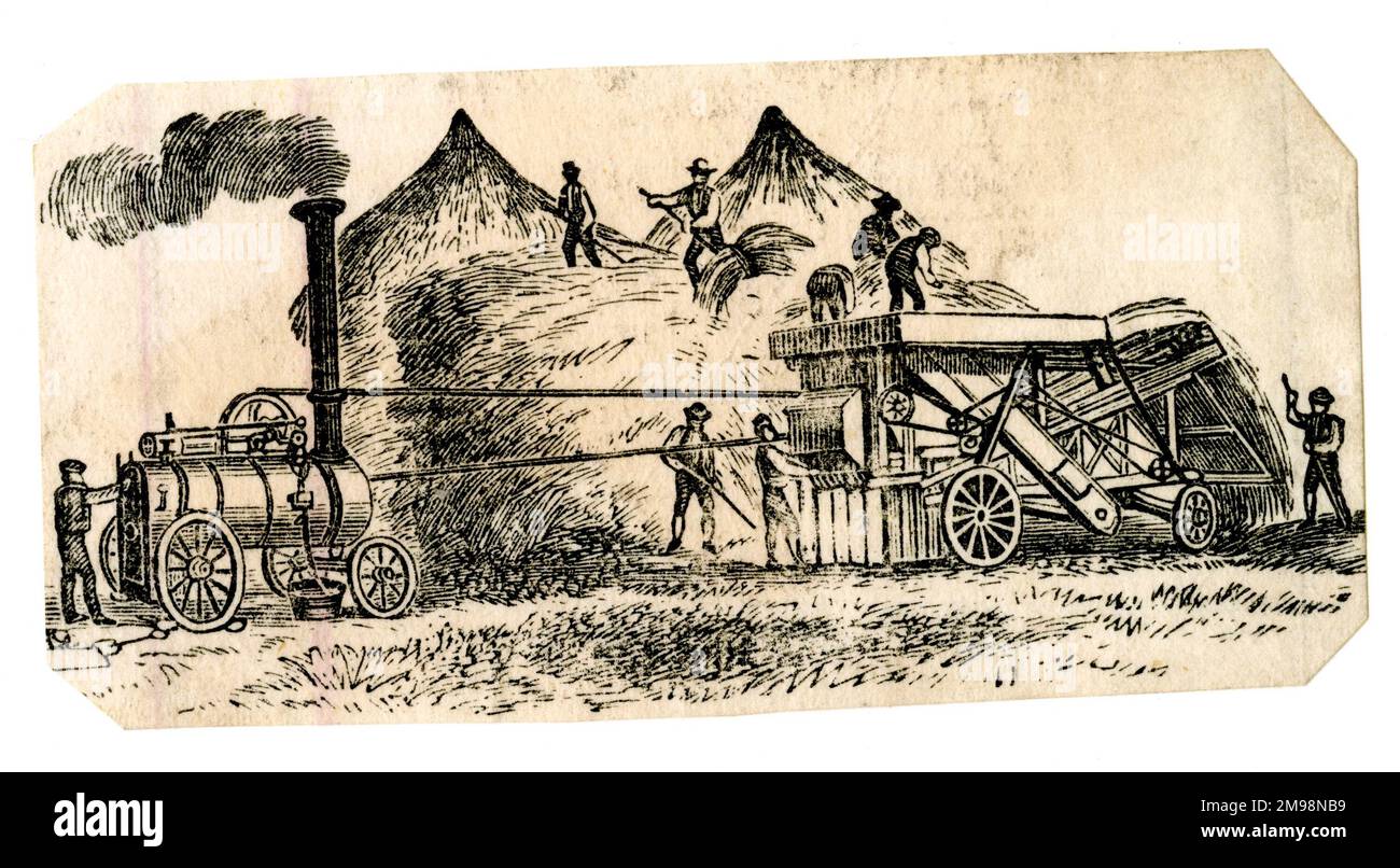 A Wheat Harvest Steam Traction Engine Threshing Machine Stock Photo - Alamy