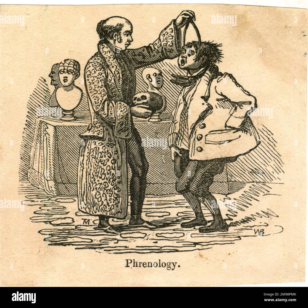 Phrenology head calipers hi-res stock photography and images - Alamy