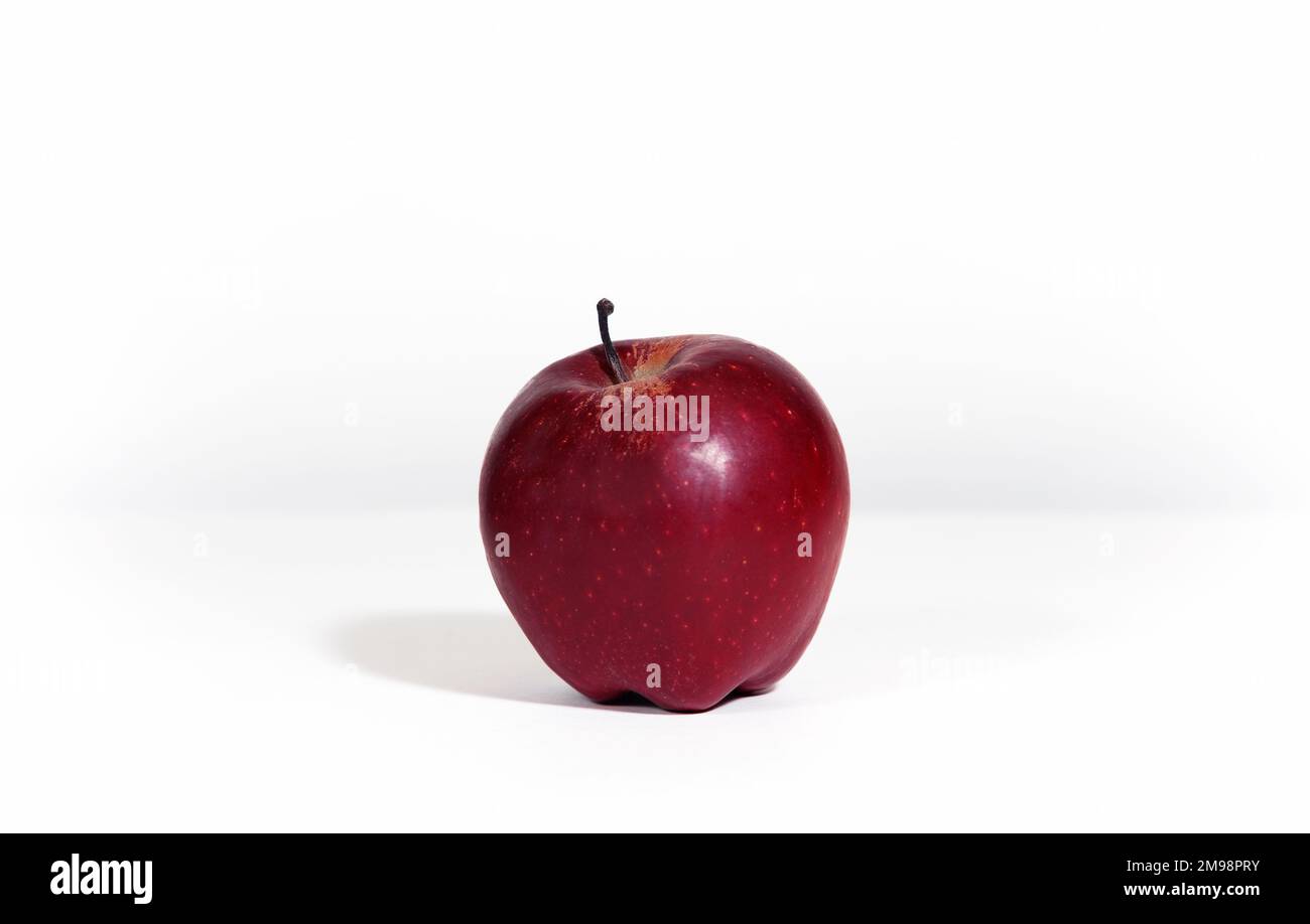 Red ripe apple isolated on white background with hard shadow. An apple ...