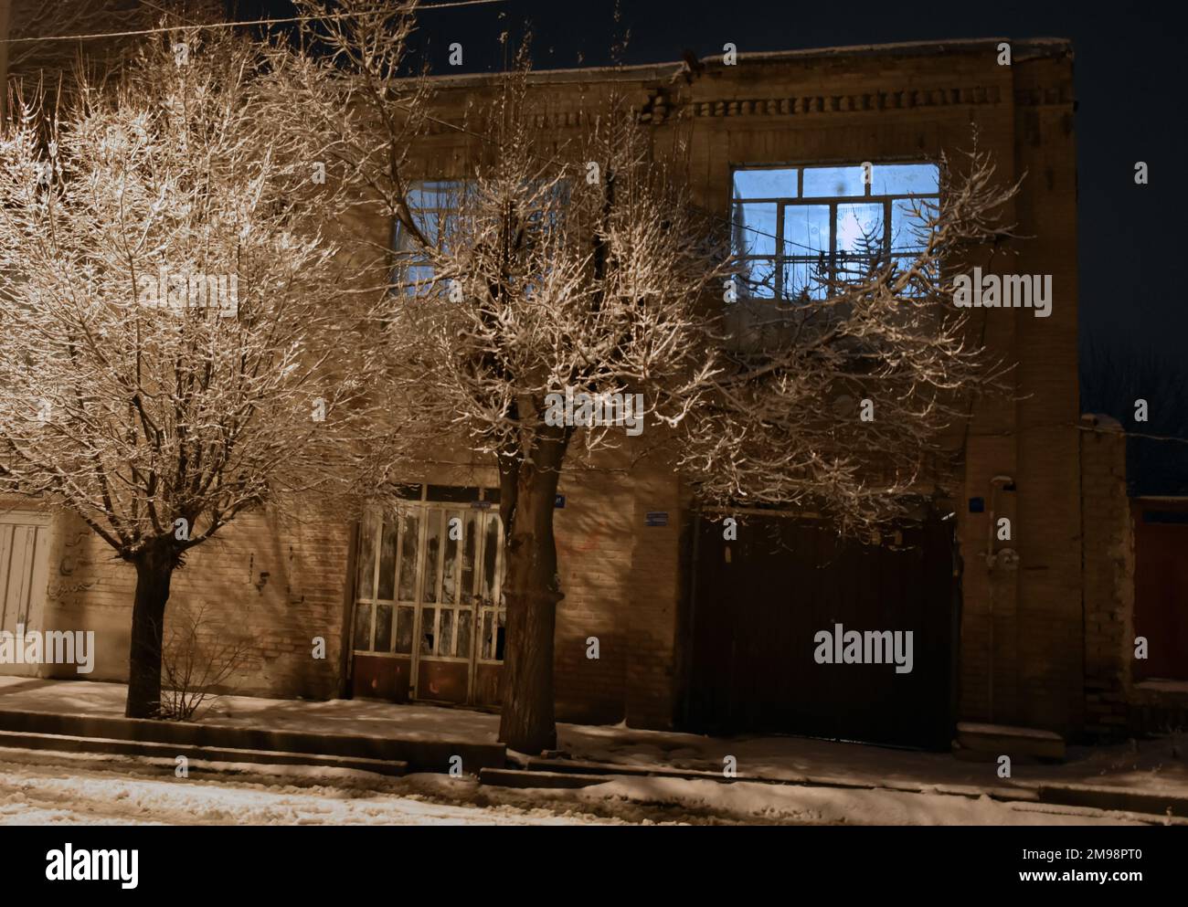Snowy trees on a cold winter night Stock Photo - Alamy