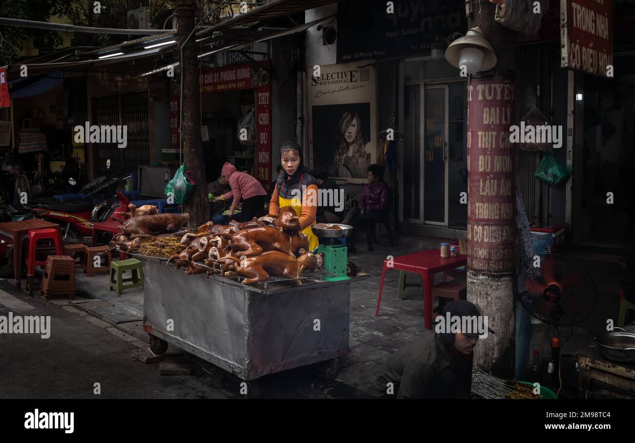 A women sells dog meat from a stall on the pavement in Hanoi, Vietnam ...