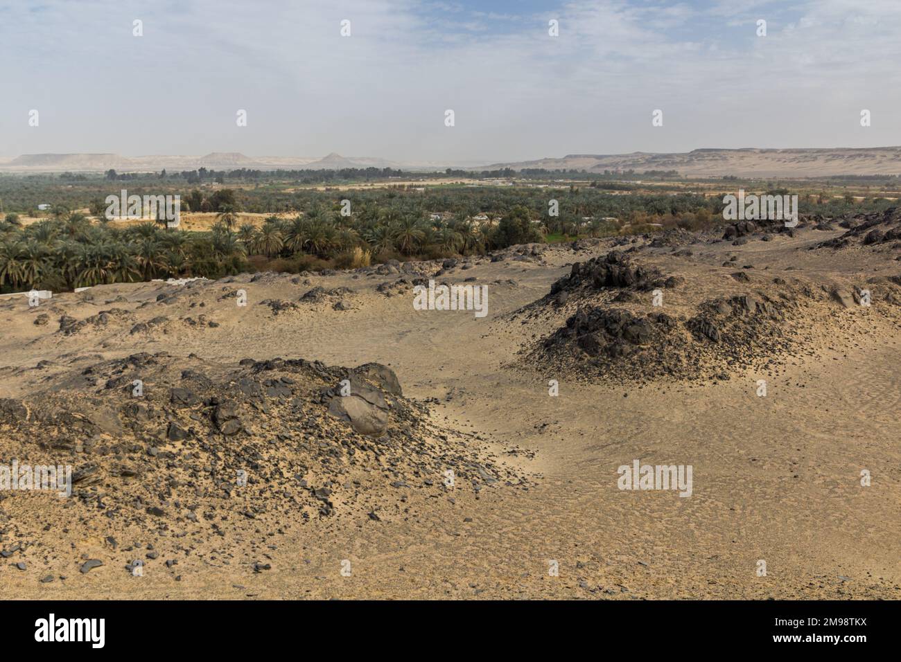 View of Bahariya oasis, Egypt Stock Photo - Alamy