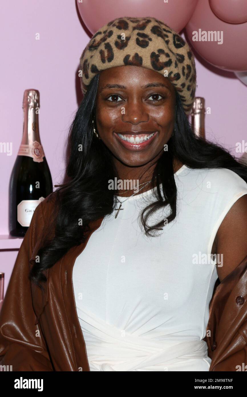 Los Angeles, USA. 14th Jan, 2023. LOS ANGELES - JAN 14: Guest at ...