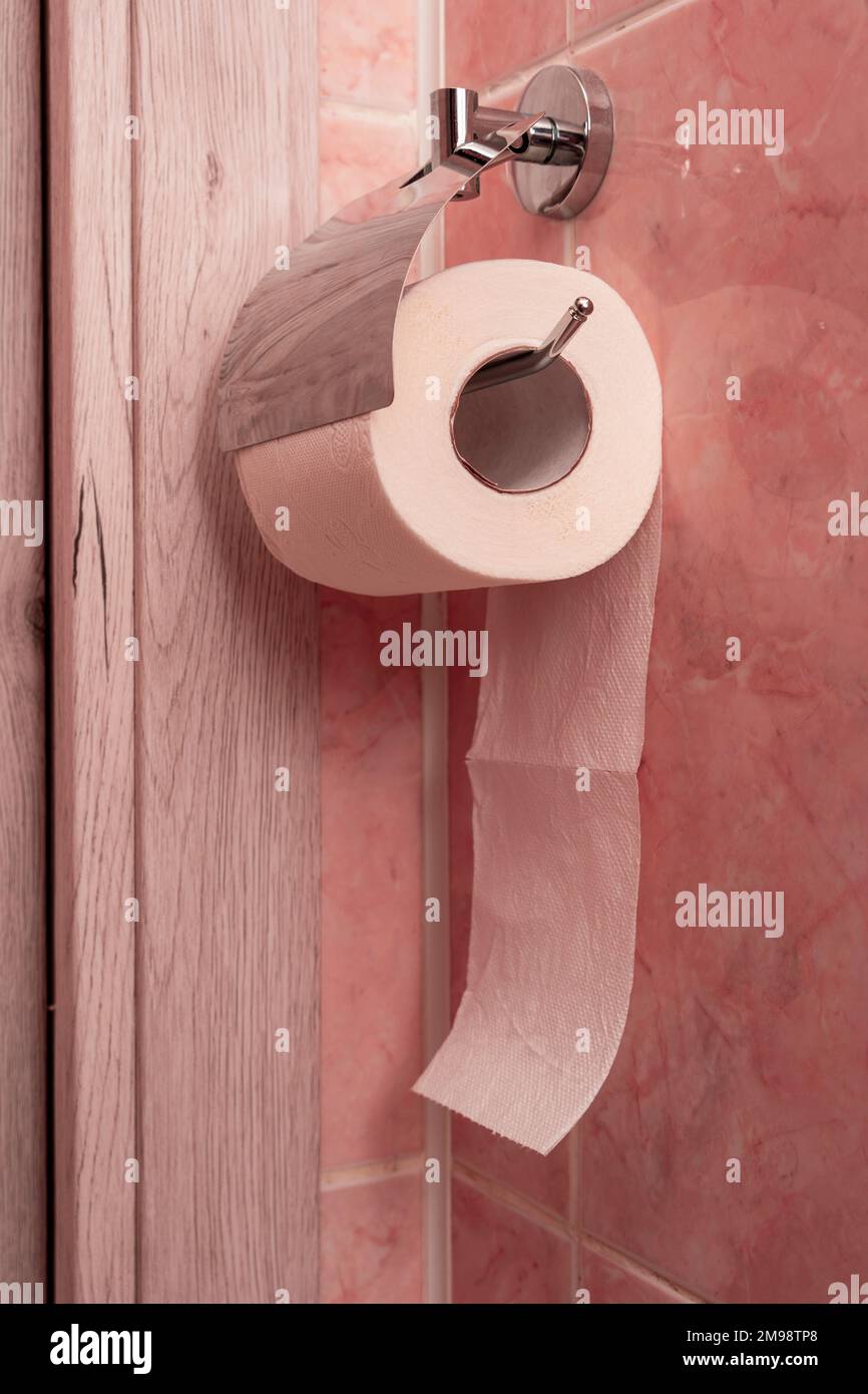 a roll of toilet paper hanging in a holder in the toilet Stock Photo ...