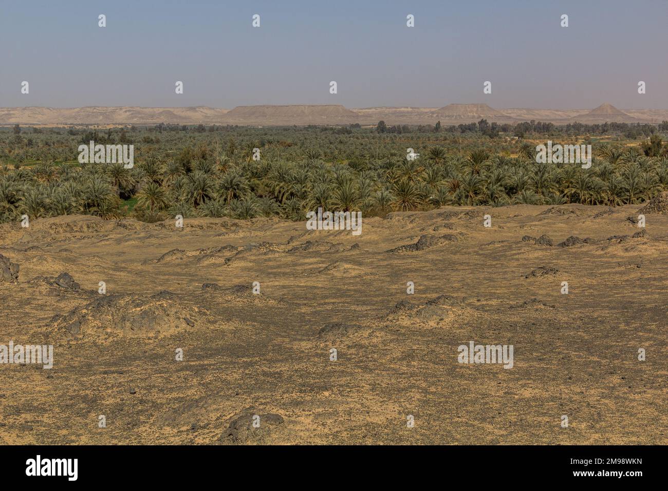 View of Bahariya oasis, Egypt Stock Photo - Alamy