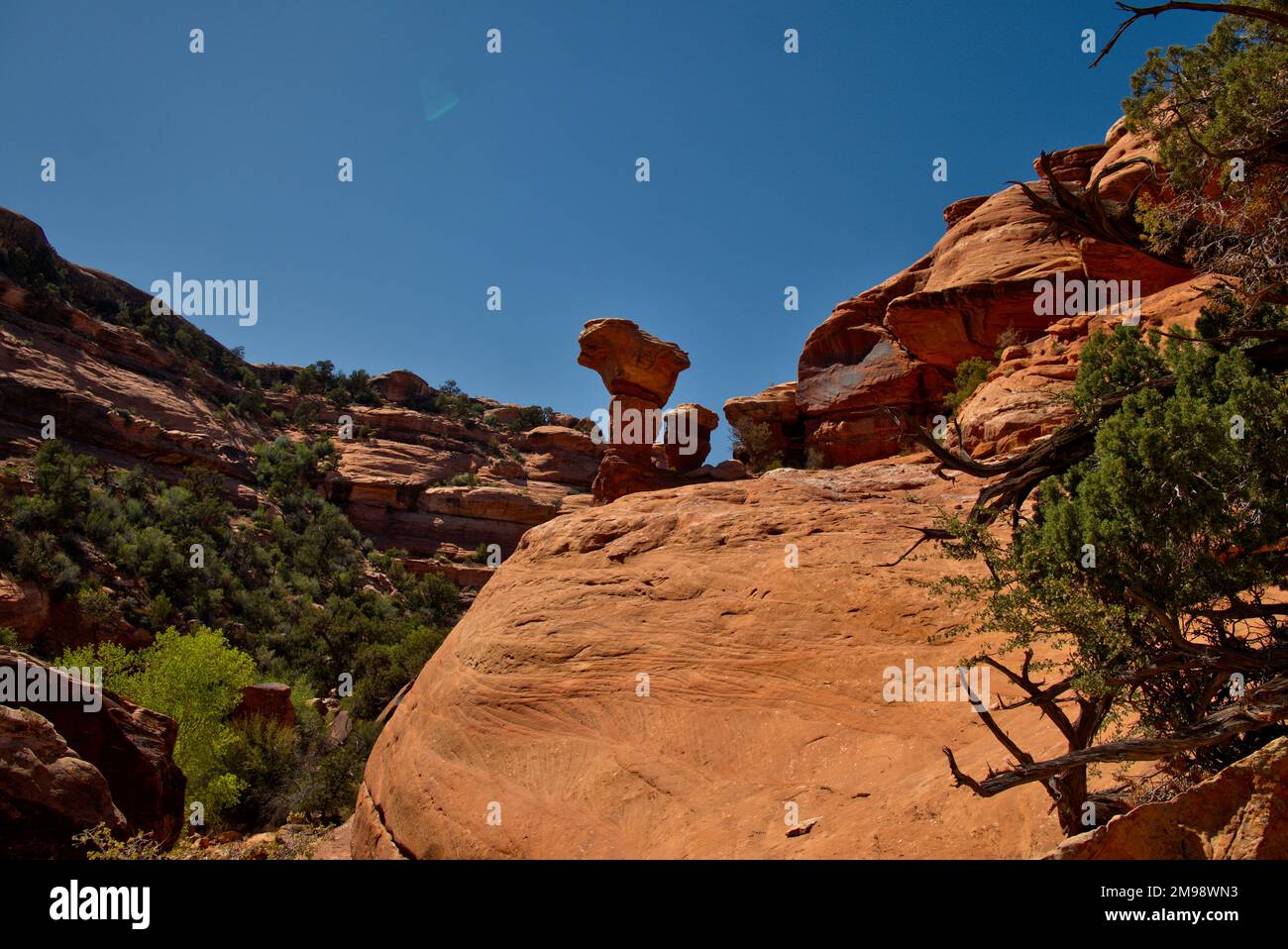 A view of Moon House Ruin and the two balanced rocks that rest near its ...