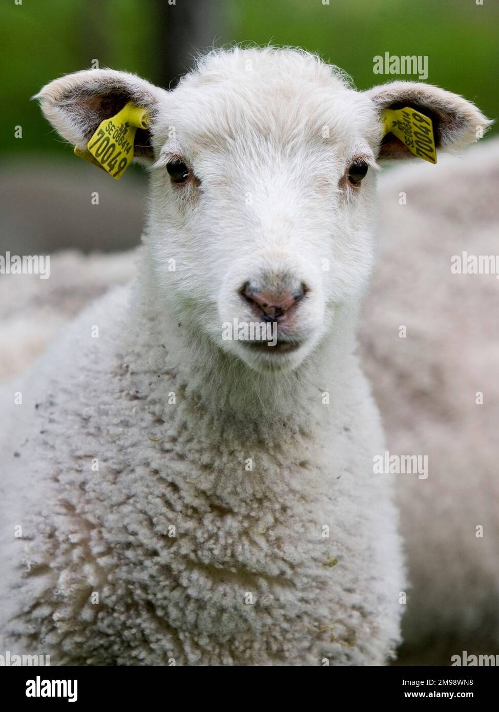 Landsbygdem hi-res stock photography and images - Alamy