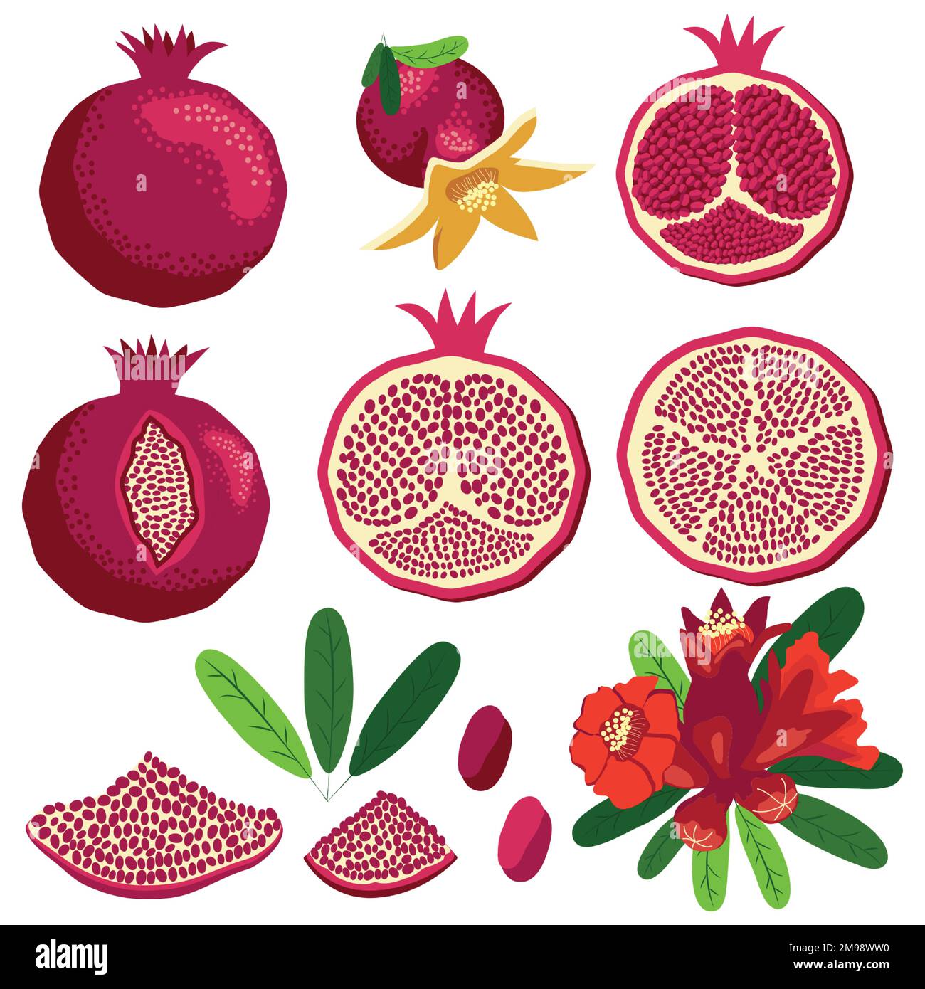 Set pomegranate fruit segment. Pomegranate whole and pieces, cut with ...