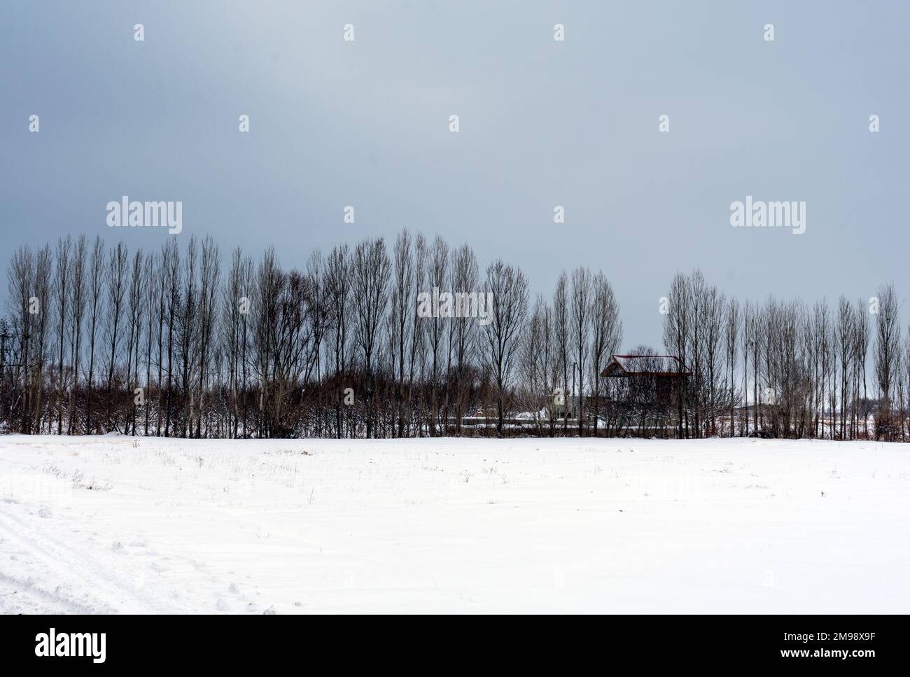 Cold and damp garden hi-res stock photography and images - Alamy