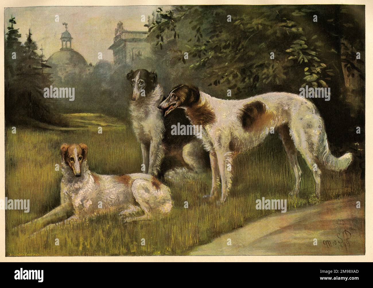 Borzois owned by the Kaiser Stock Photo - Alamy