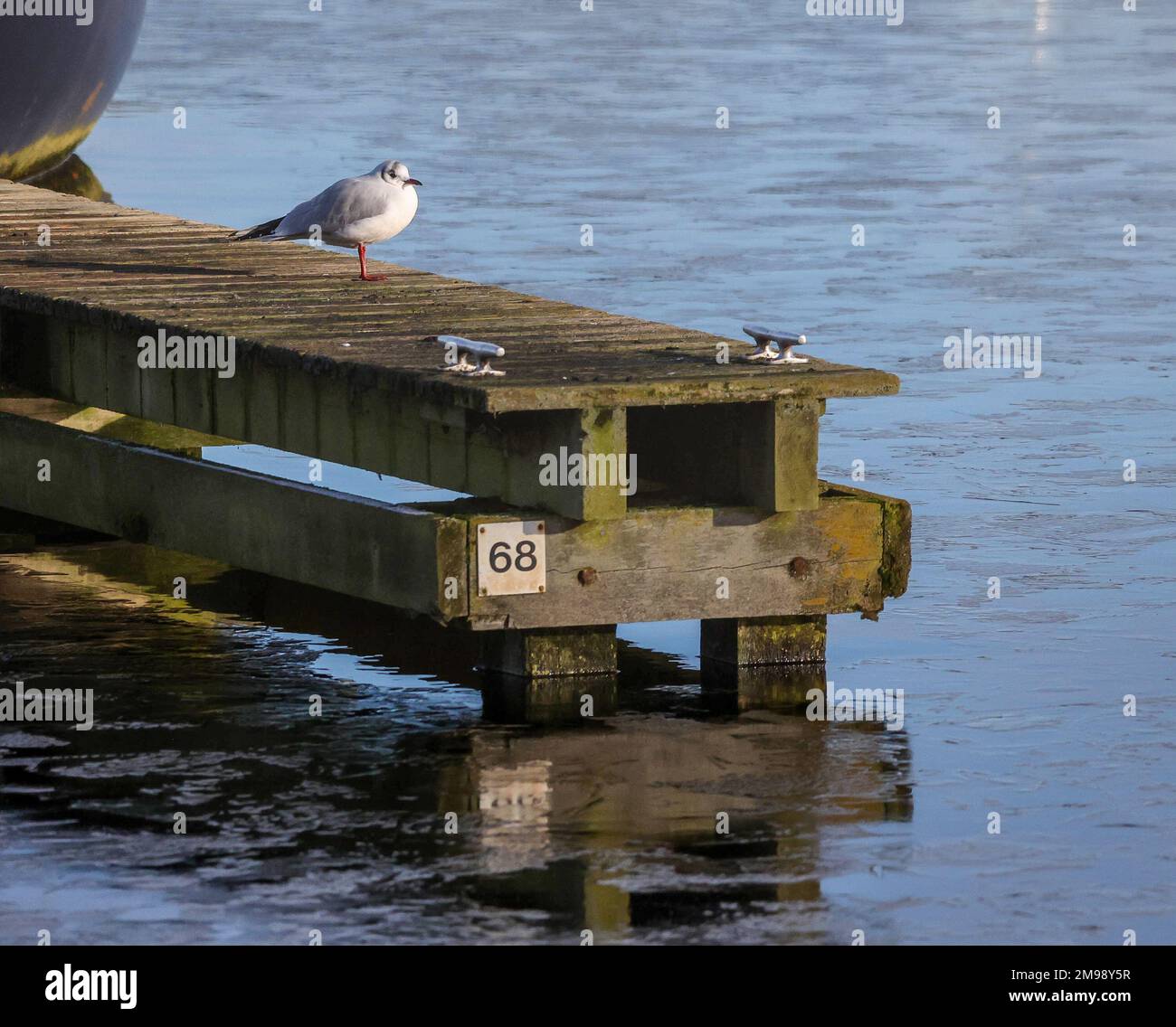 Lough neagh frozen hi-res stock photography and images - Alamy