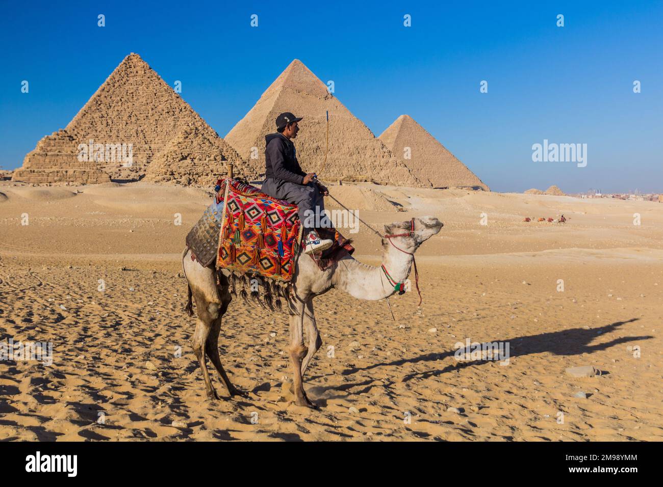 CAIRO, EGYPT - JANUARY 28, 2019: Camel rider in front of the Great ...