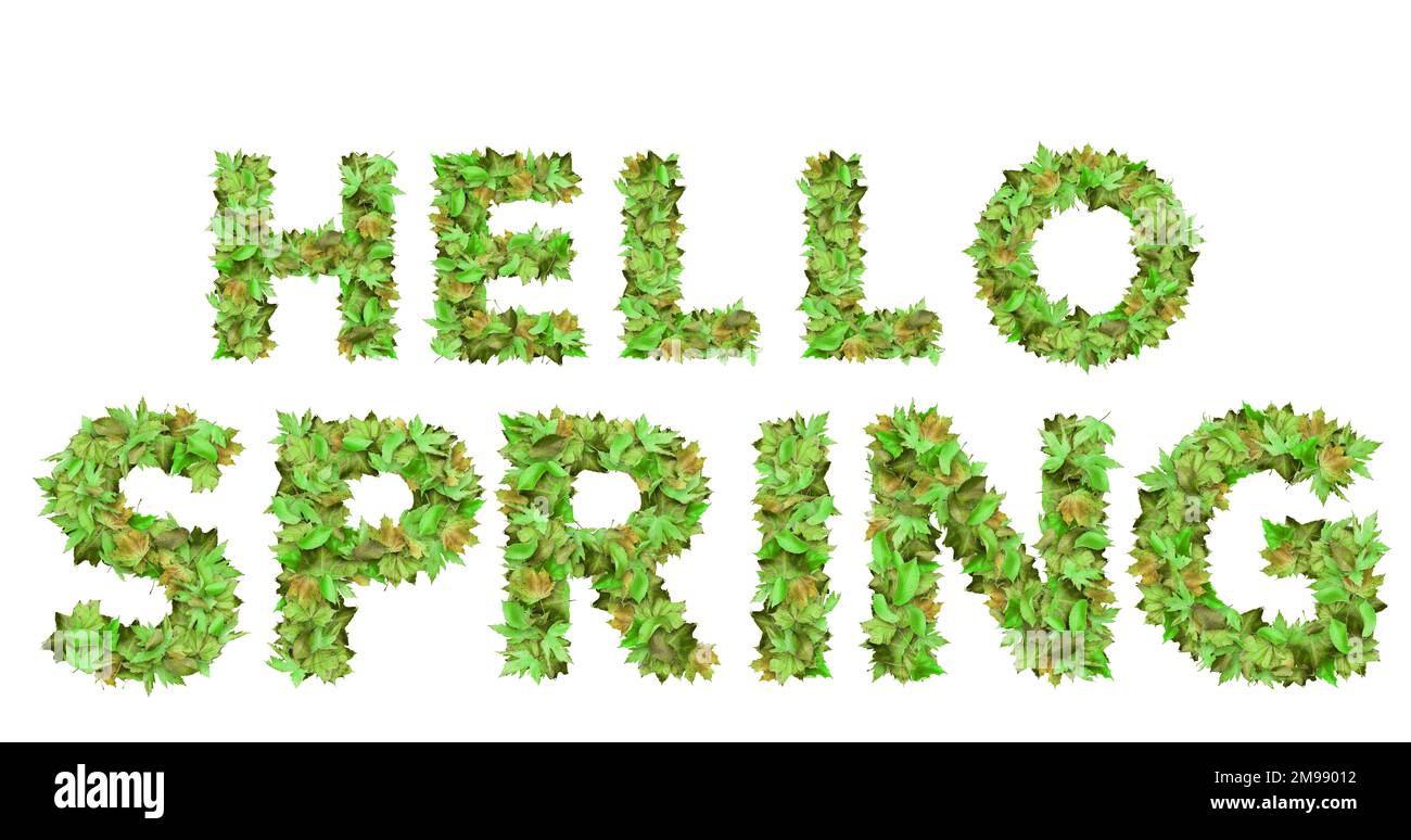 Hello Spring text with springs leaves, minimal design on white ...