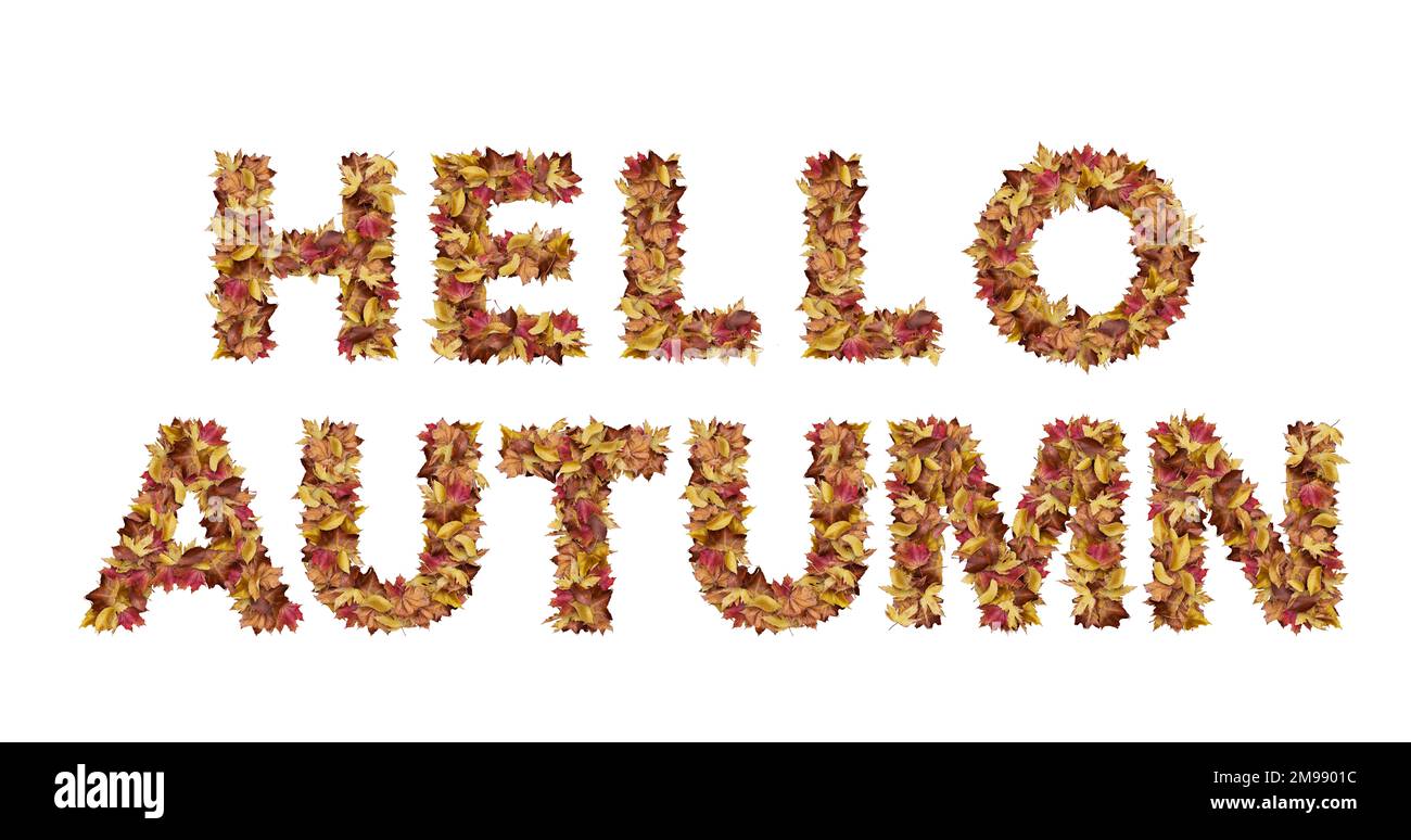 Hello Autumn text with autumns leaves, minimal design on white ...