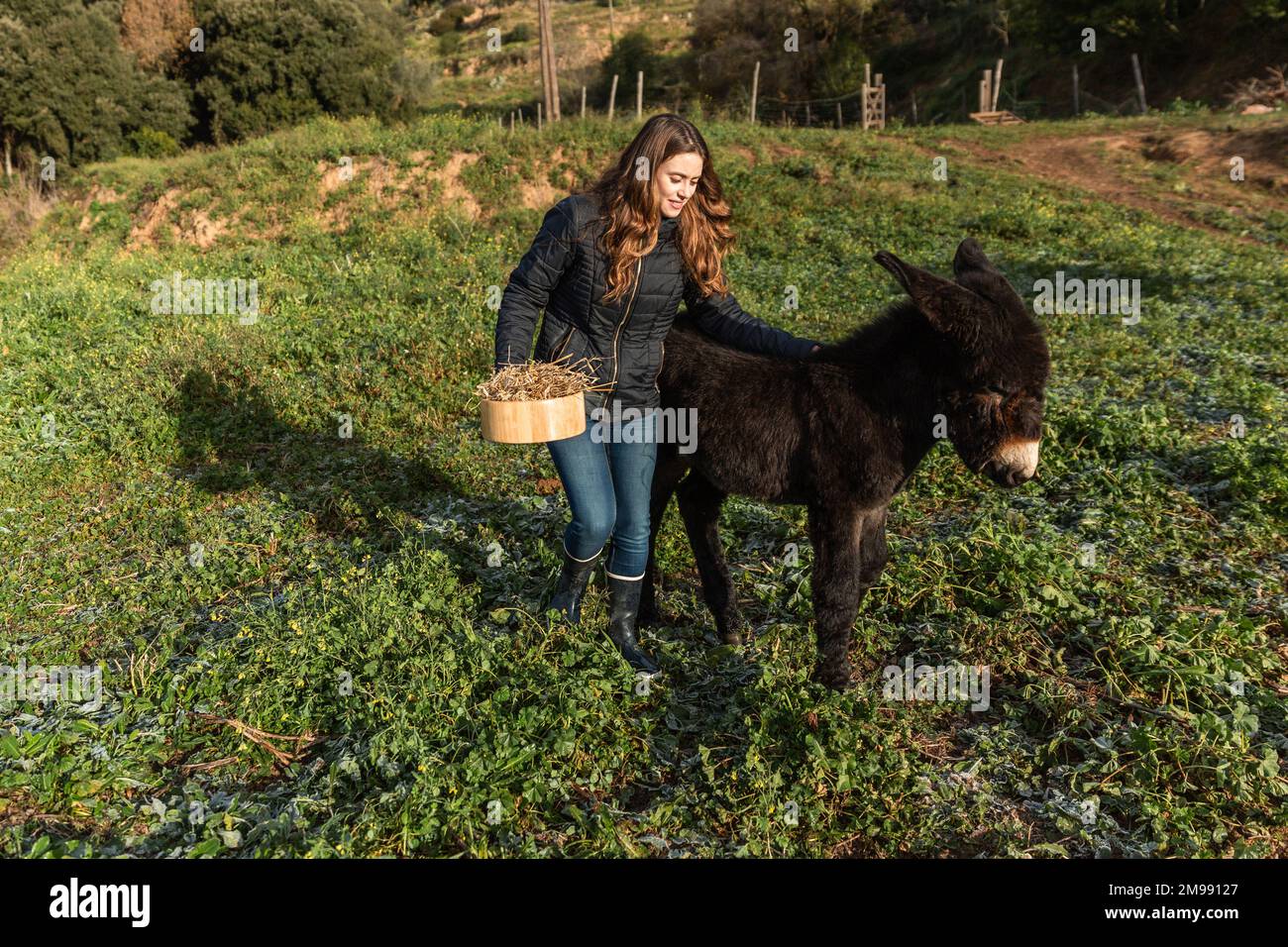 Woman walking with a donkey calf outdoors in nature Stock Photo - Alamy
