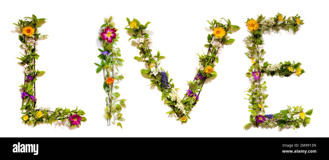 Blooming Flower Letters Building English Word Live Stock Photo - Alamy