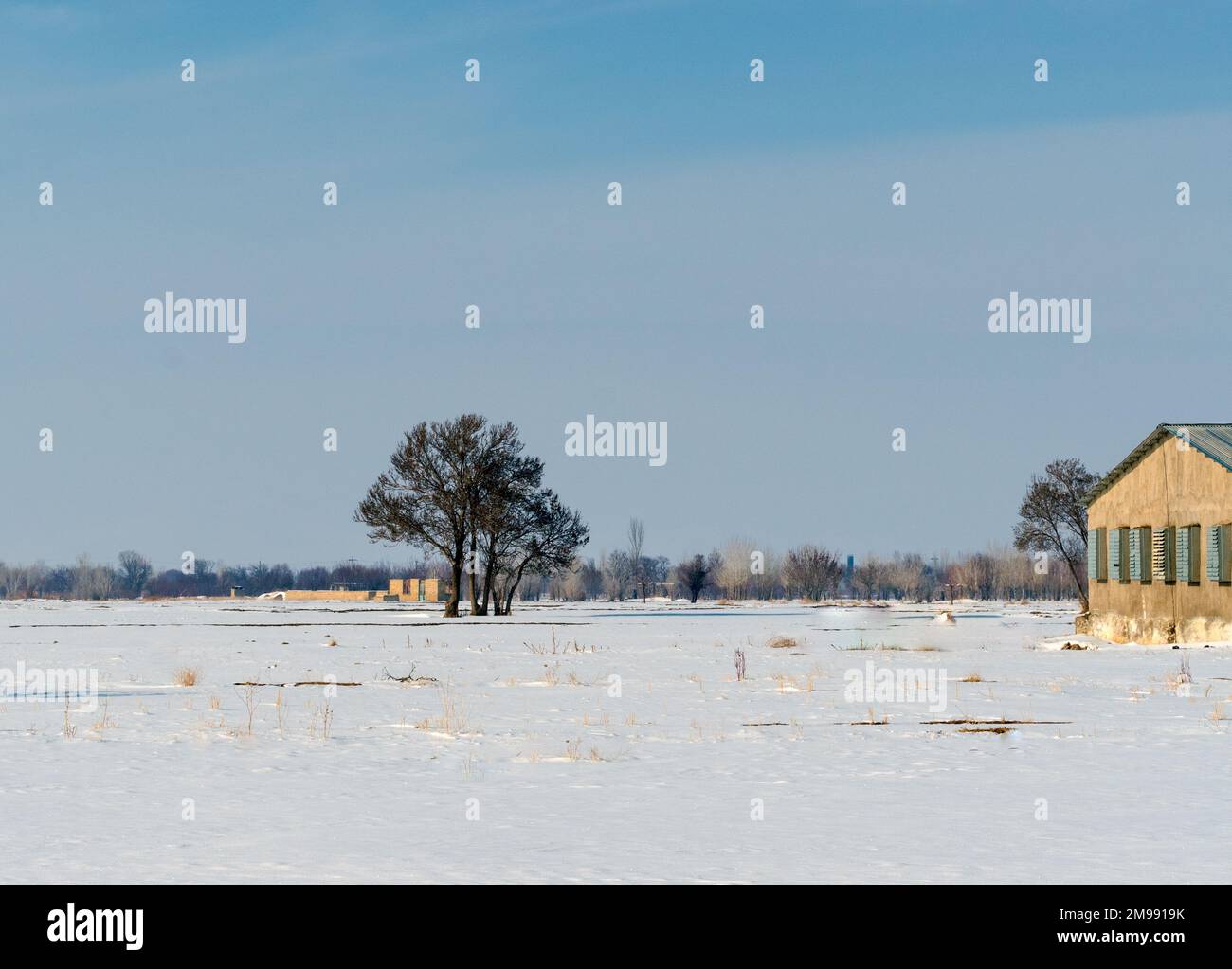a winter day Stock Photo - Alamy