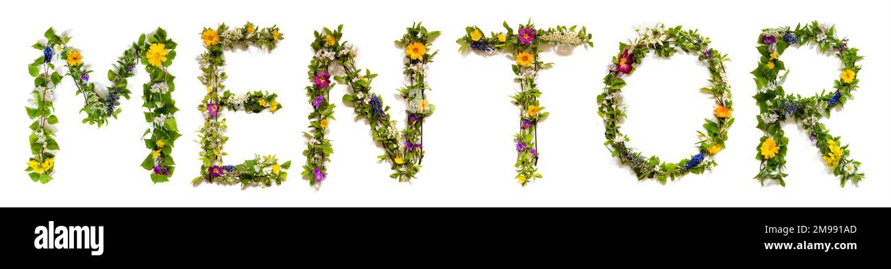 Blooming Flower Letters Building English Word Mentor Stock Photo - Alamy