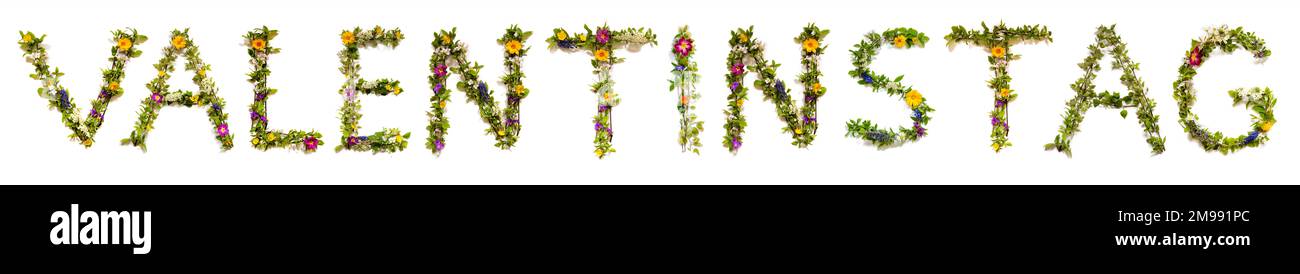 Blooming Flower Letters Building German Word Valentinstag Means ...