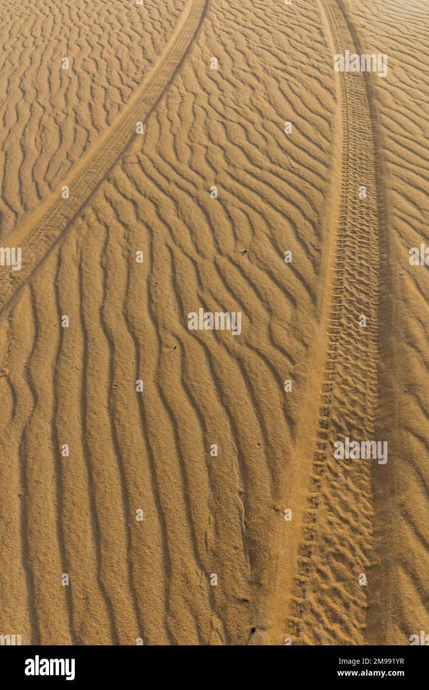 Car tracks in a sand desert Stock Photo - Alamy