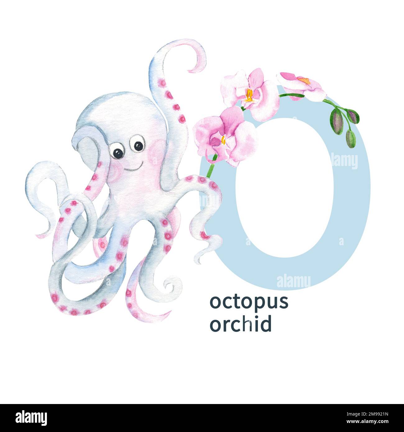 Letter O, octopus, orchid, cute kids animal and flower ABC alphabet ...