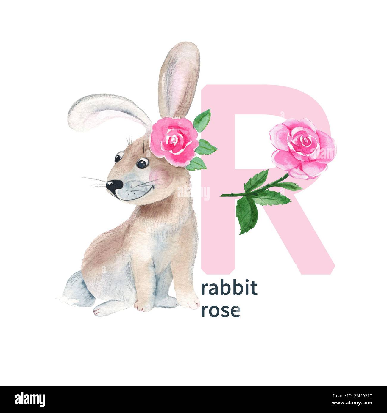 Letter R, rabbit and rose, cute kids animal and flower ABC alphabet ...