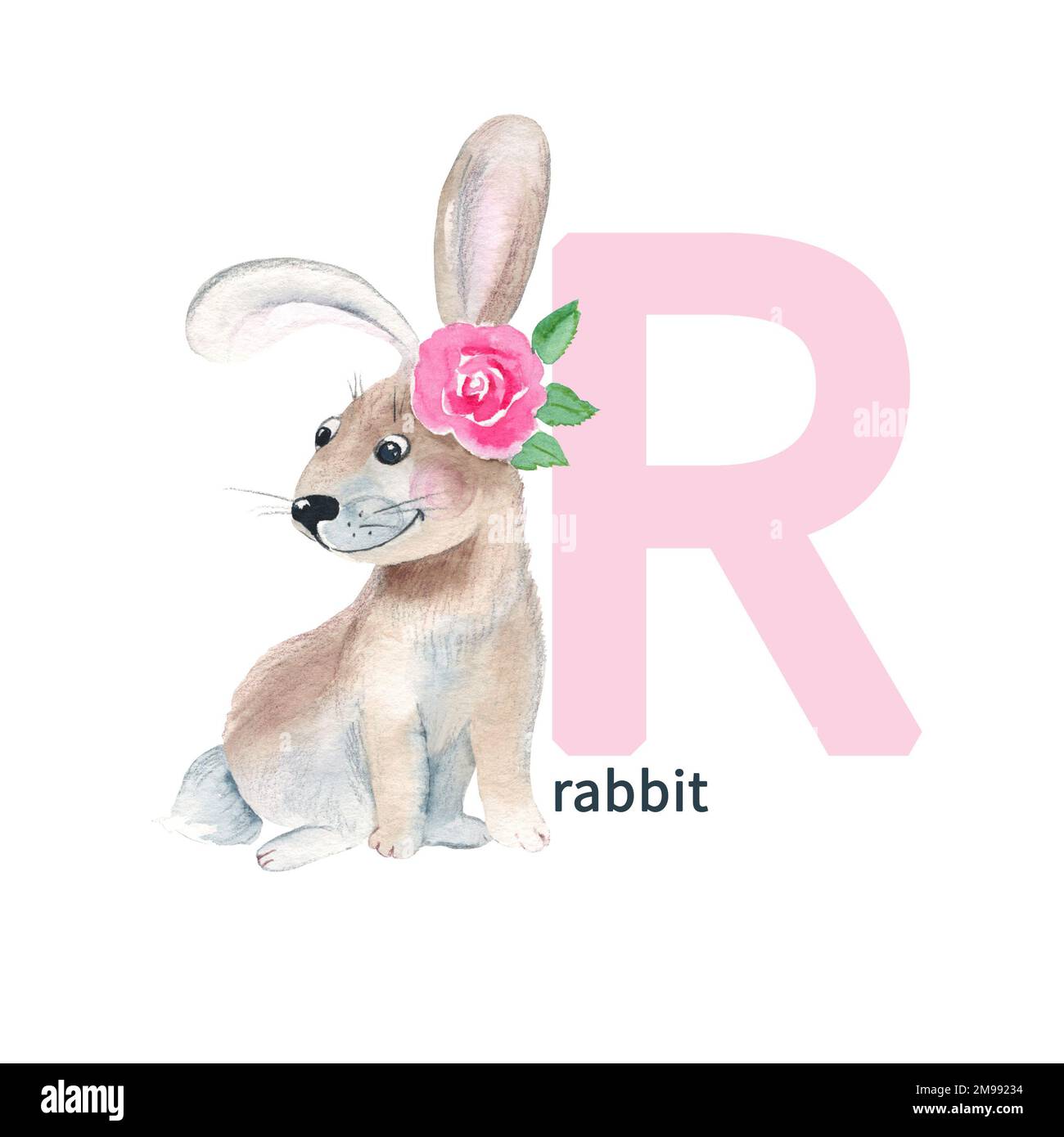 Letter R, rabbit, cute kids animal ABC alphabet. Watercolor ...
