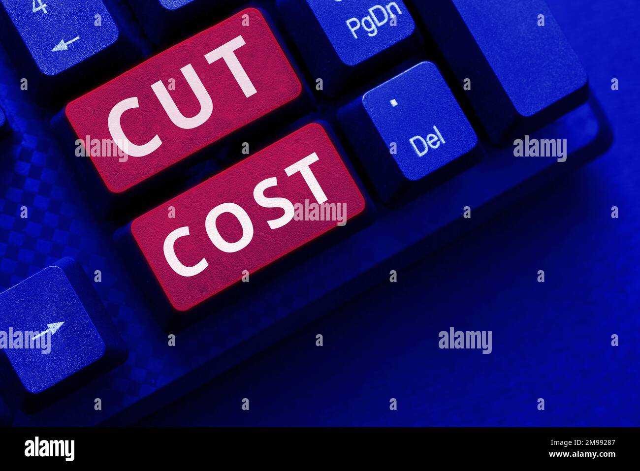 Inspiration showing sign Cut Cost. Business overview Measures ...