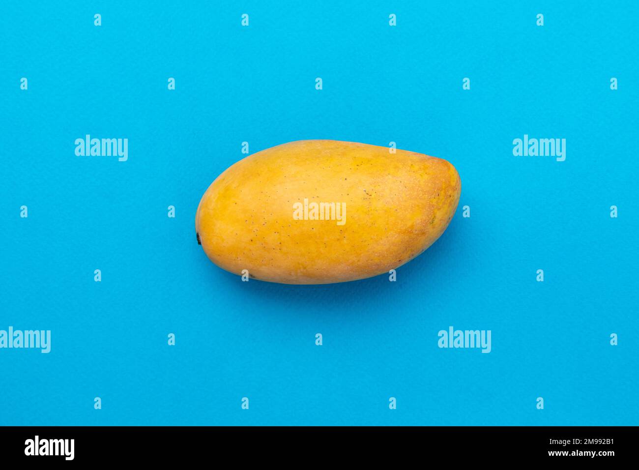 Whole mango with blue background and copy space Stock Photo - Alamy