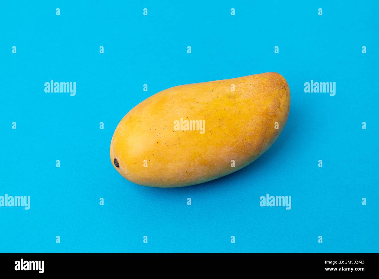 Whole mango with blue background and copy space Stock Photo - Alamy