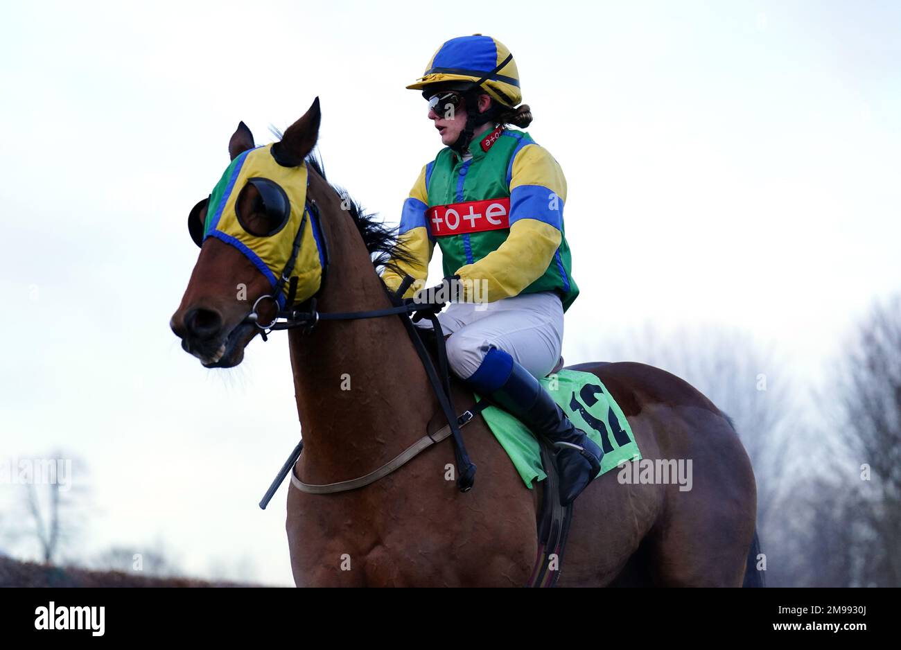 Dodgy Bob ridden by jockey Katie Garton after the Unibet Horserace ...