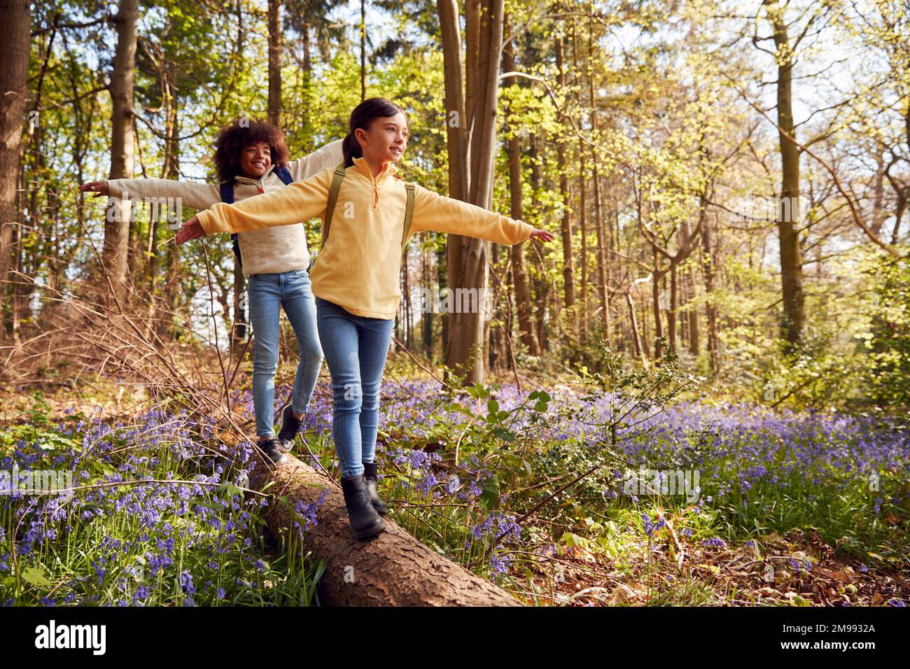Two Children Walking Through Bluebell Woods In Springtime Balancing On ...
