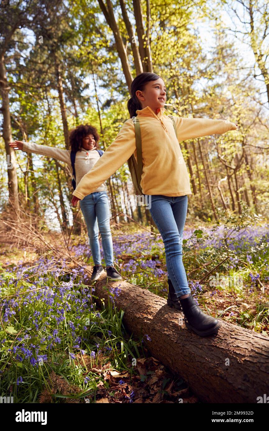 Two Children Walking Through Bluebell Woods In Springtime Balancing On ...