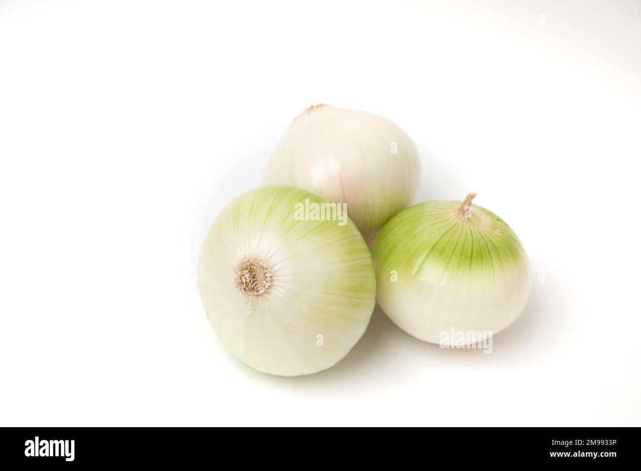Three ripe white onions hi-res stock photography and images - Alamy