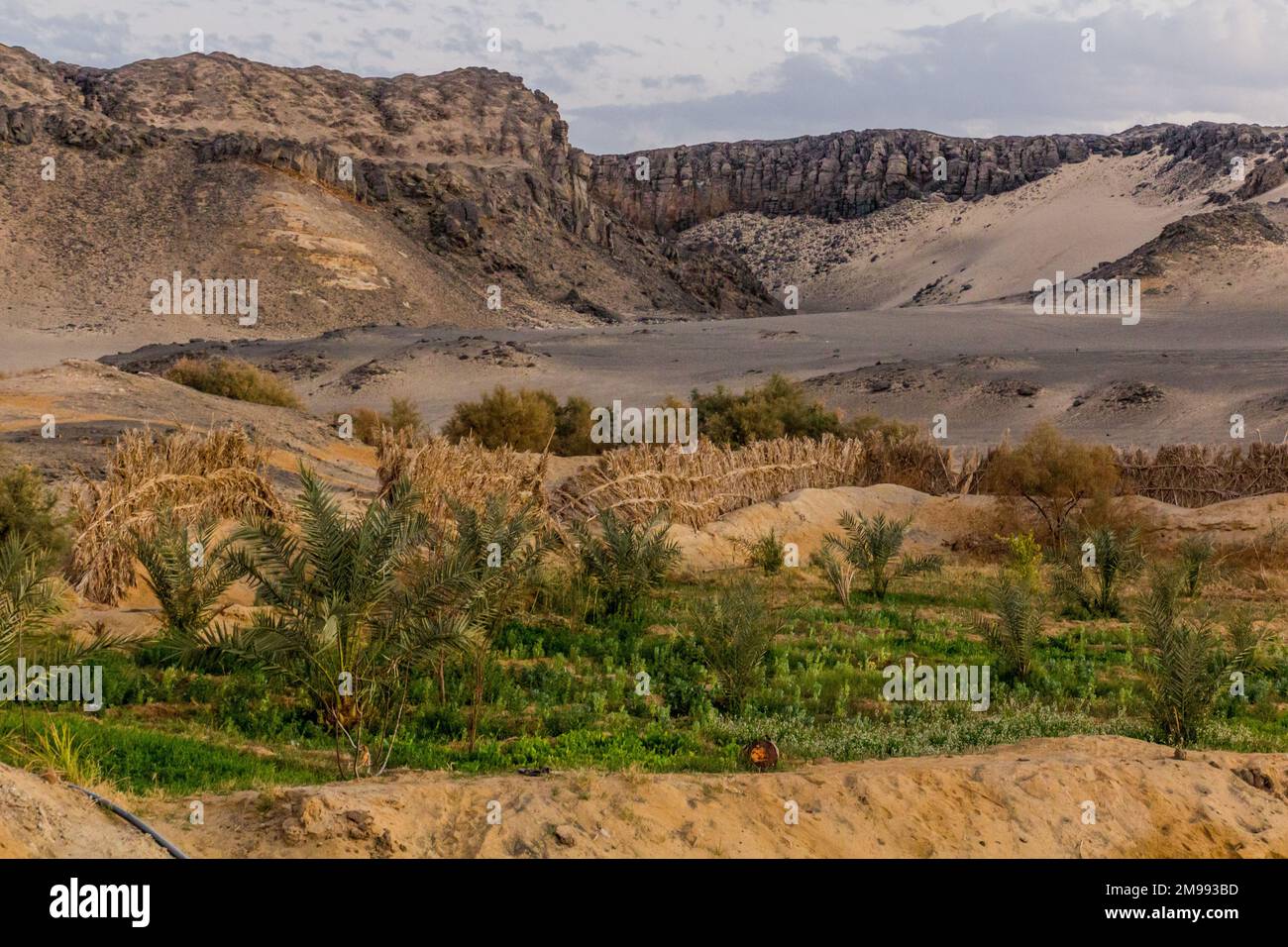 Landscape of Bahariya oasis, Egypt Stock Photo - Alamy