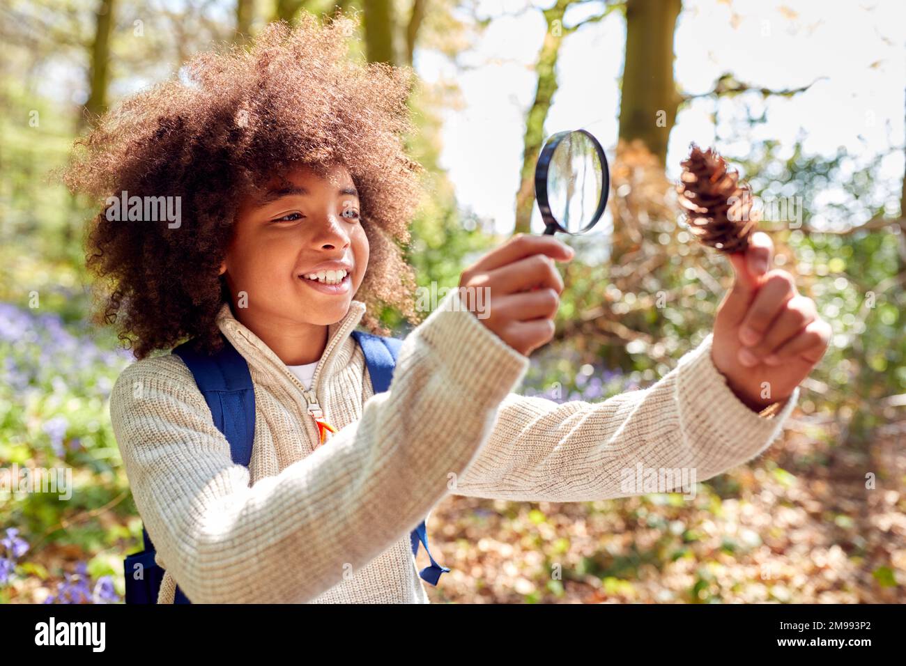 Boy In Spring Woodlands Examining Pine Cone With Magnifying Glass Stock ...