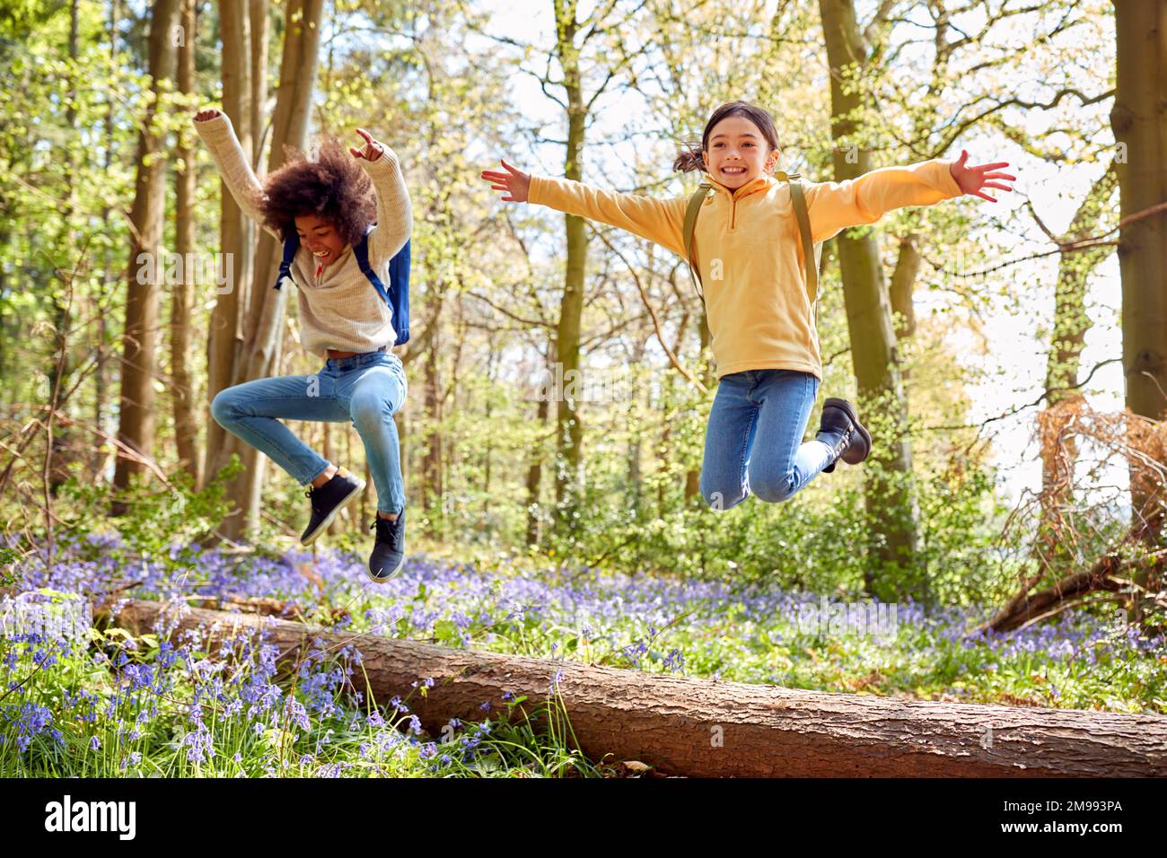 Two Children Walking Through Bluebell Woods In Springtime Jumping Over ...