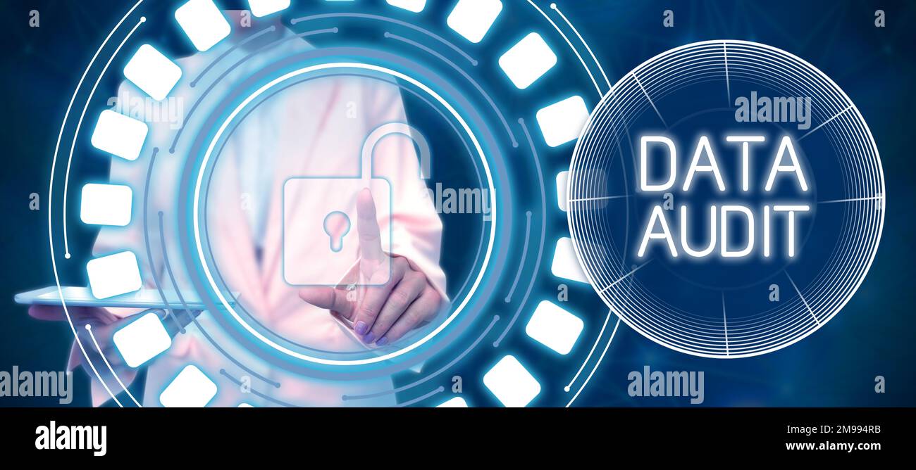 Text showing inspiration Data Audit. Concept meaning auditing of data ...