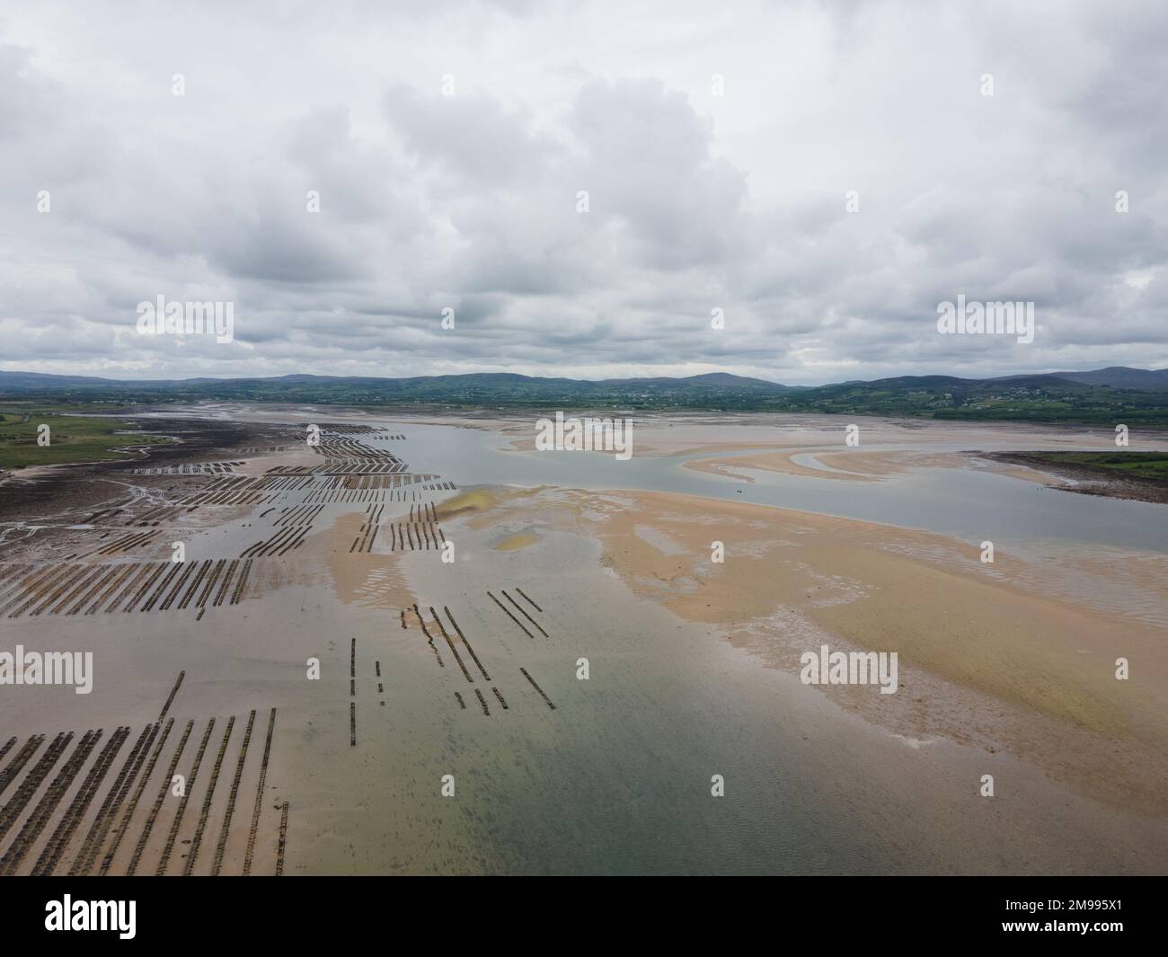 Ireland, scenic route 6, Inis Eoghan (Inishowen). Mussels farm along ...