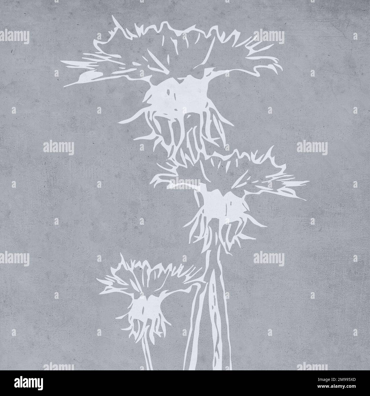 Printable trendy botanical card. Use for cover, wallpaper, wall art ...