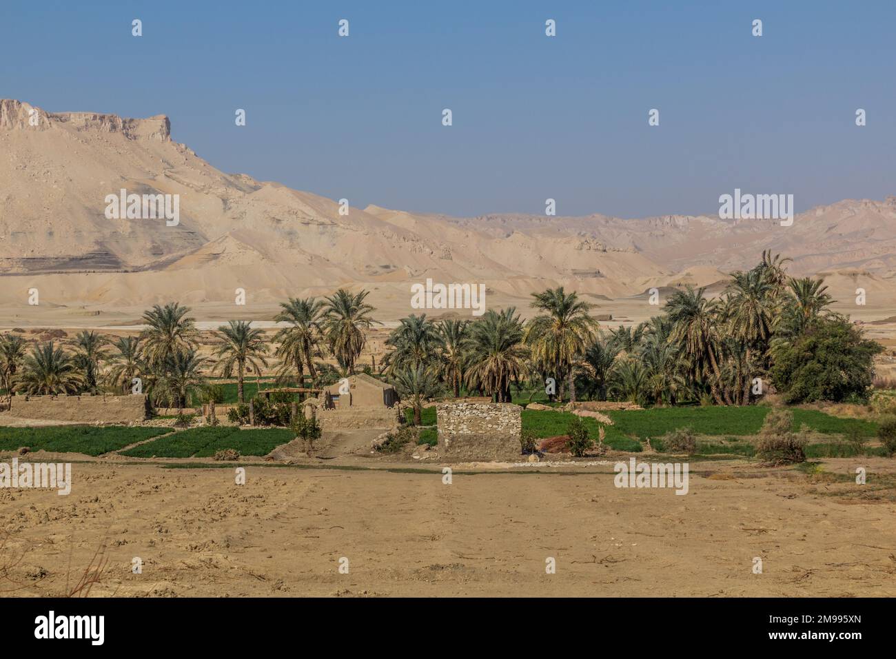 View of Dakhla oasis, Egypt Stock Photo - Alamy