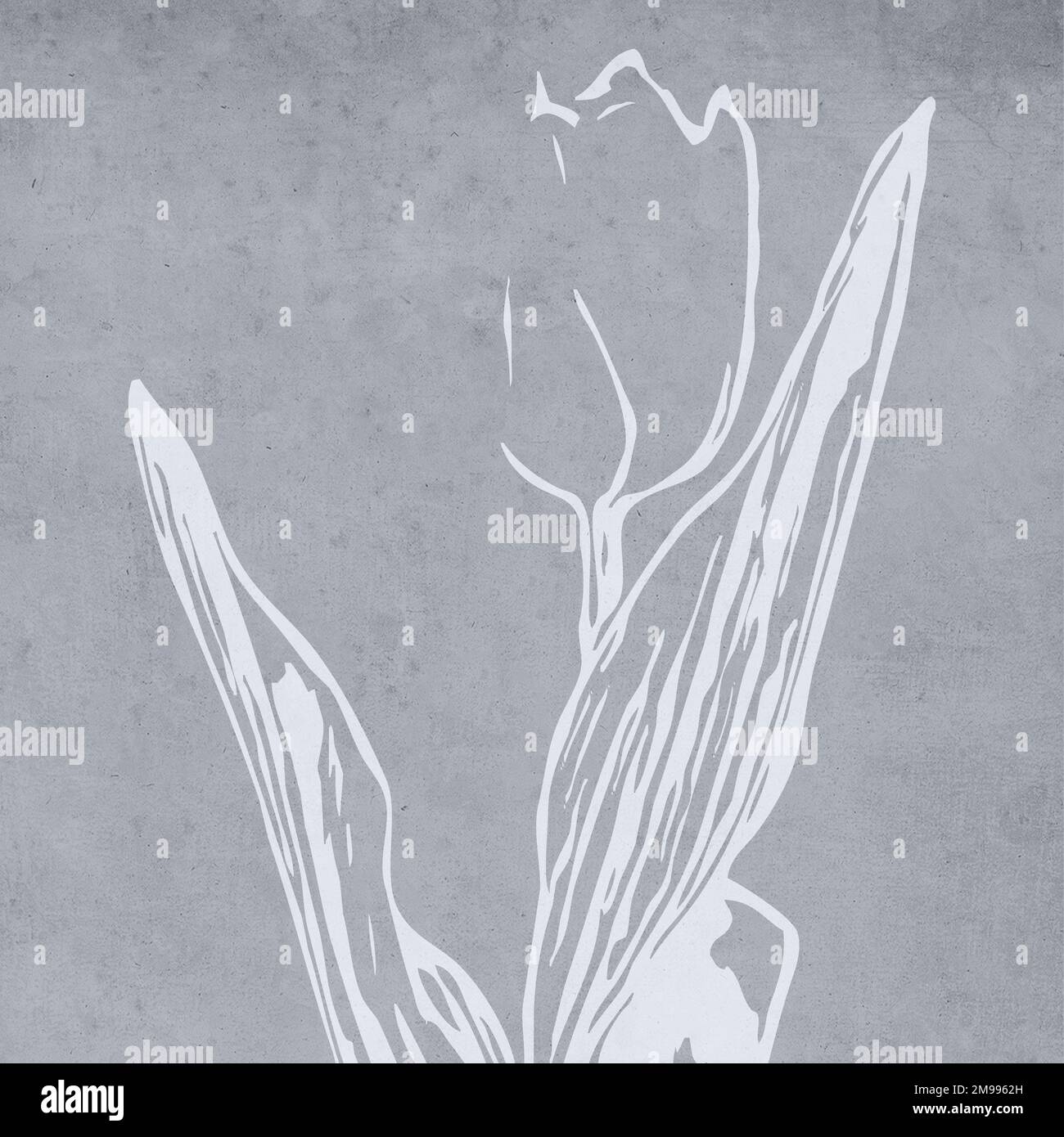 Printable trendy botanical card. Use for cover, wallpaper, wall art ...