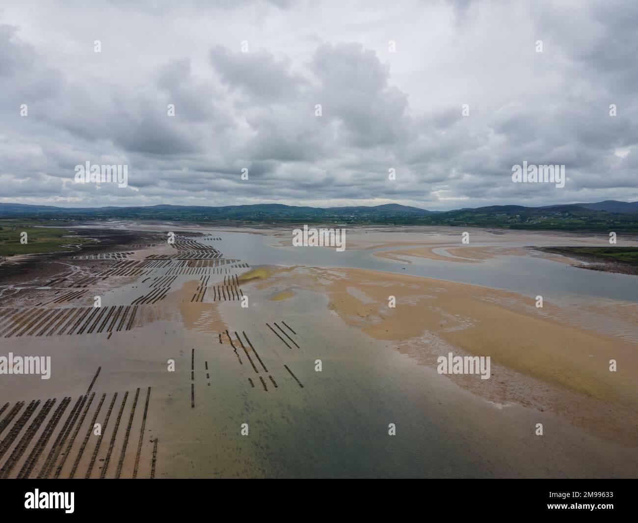 Ireland, scenic route 6, Inis Eoghan (Inishowen). Mussels farm along ...