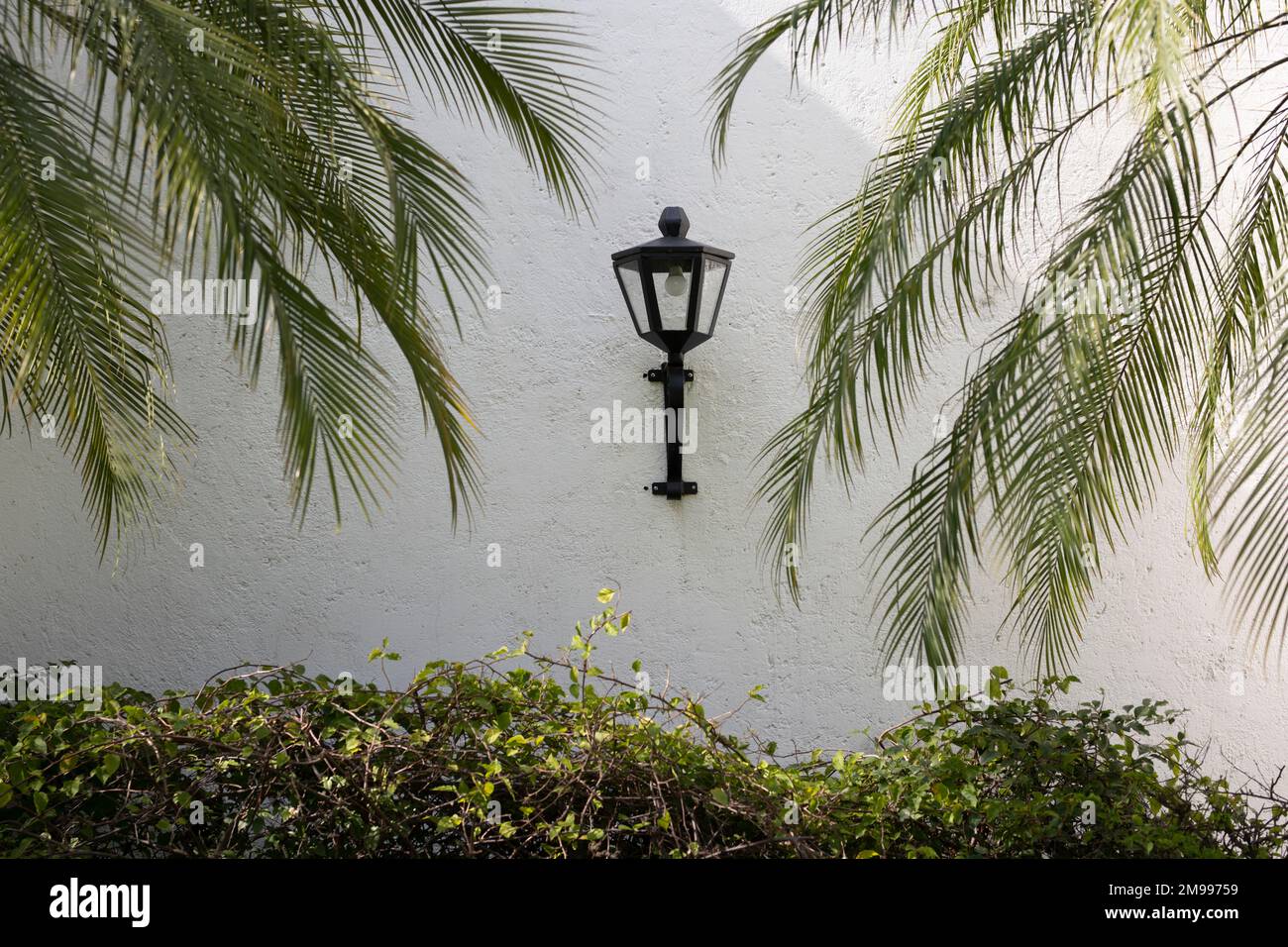 Classic street lamp mounted on a white wall with shadows and branches ...