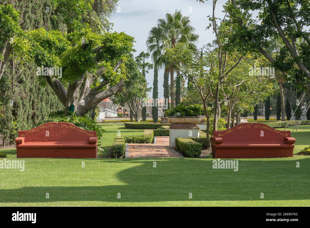 Empty bench in a park with grass and trees in the background Stock ...