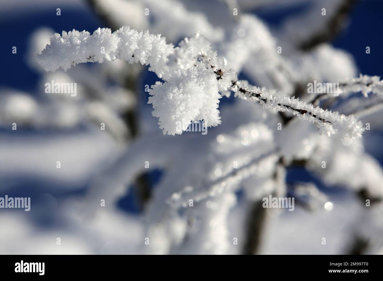 Premier froid hi-res stock photography and images - Alamy