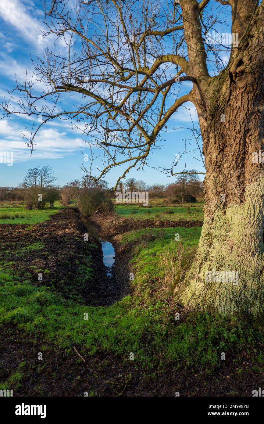 Drainage Ditch in field Stock Photo - Alamy