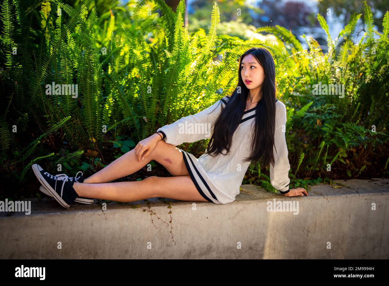 Beautiful Young Woman in Short Sweater Dress Seated on Wall with Ferns ...