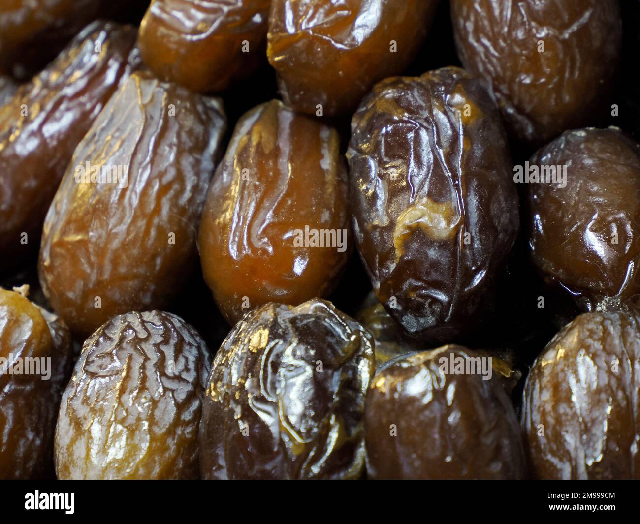 date palm in fes medina in Morocco Stock Photo - Alamy